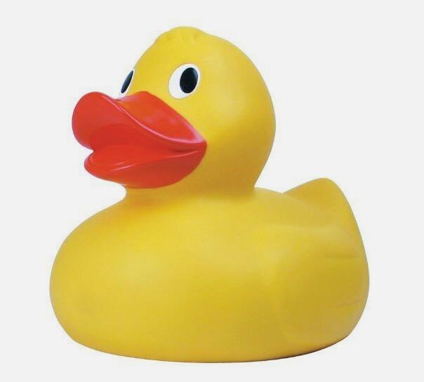 Giant Rubber Duck – Brown & Co Wellington