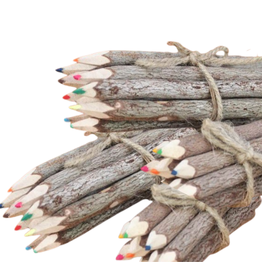 Bunch of 10 Coloured Pencils – Brown & Co Wellington