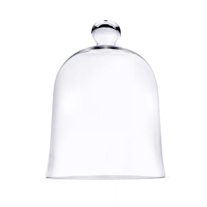 Glass Cloche (Various Sizes) – Brown & Co Wellington